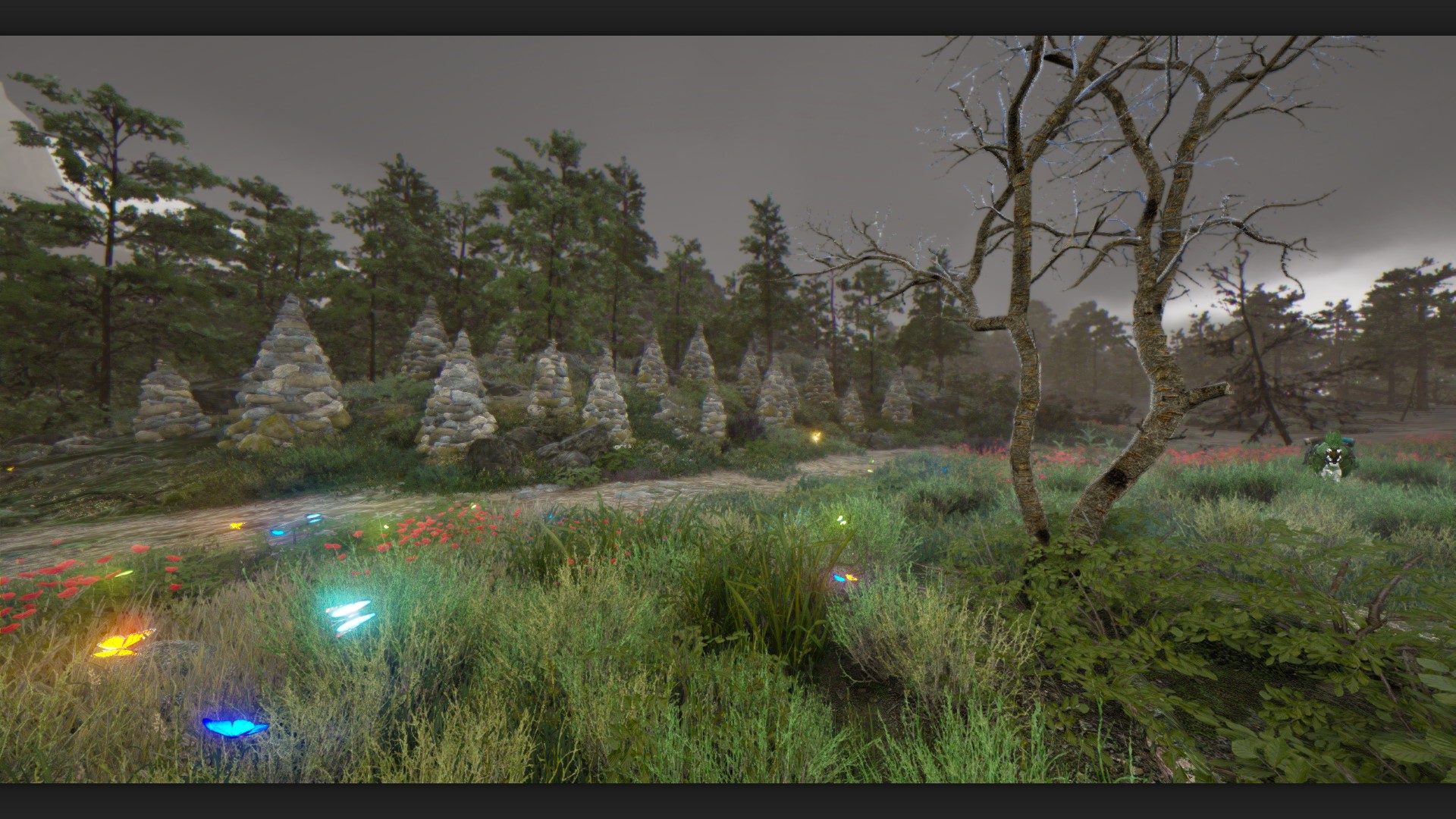 [Photo Gallery] awaw