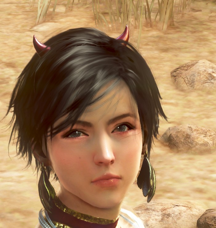 カスタマイズアルバム | 黒い砂漠 日本