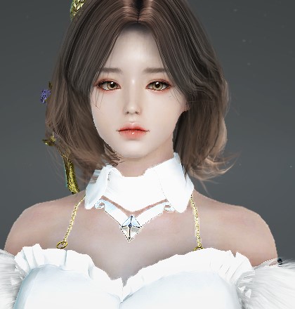 [외형 앨범] ssda | 검은사막 한국