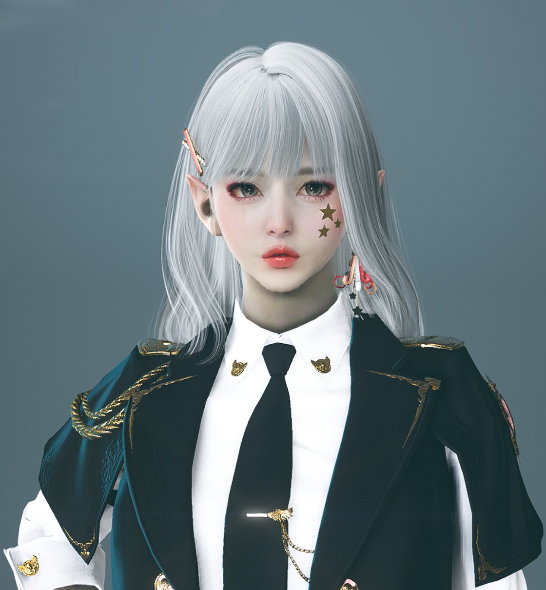 외형 앨범 | 검은사막 한국