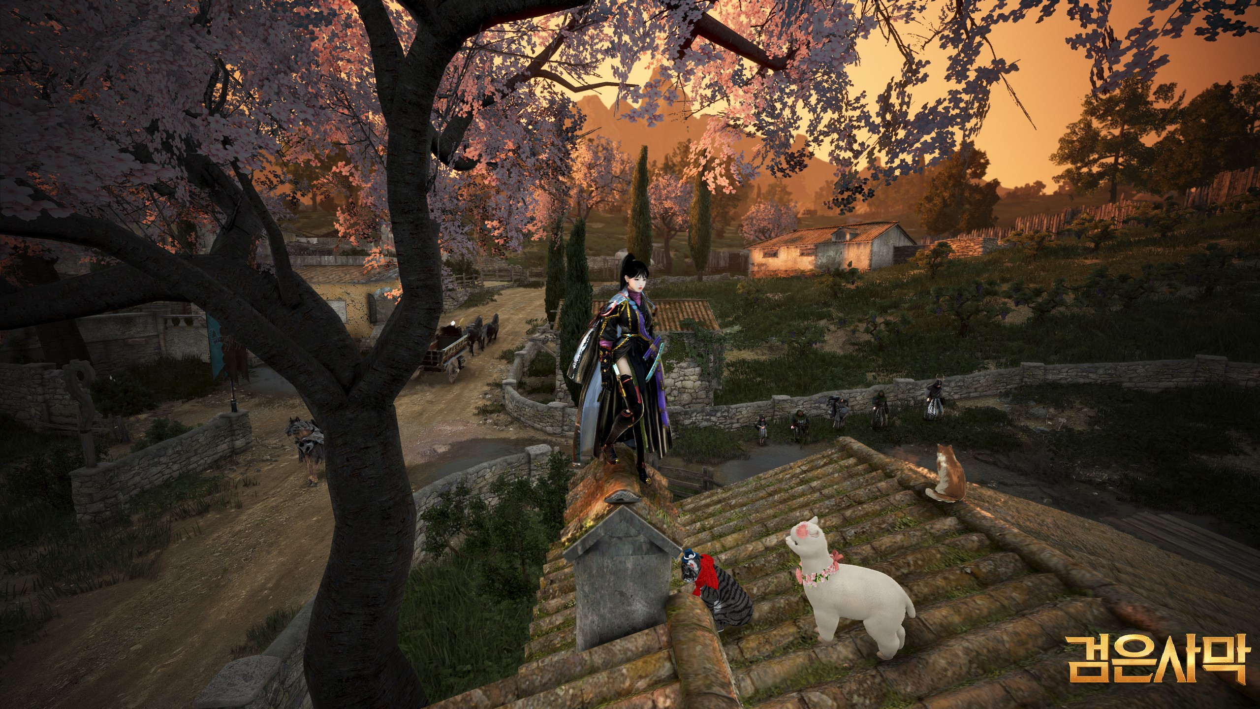 검은사막 한국 – 수상한 소문의 중심, 마르니 | Pearl Abyss