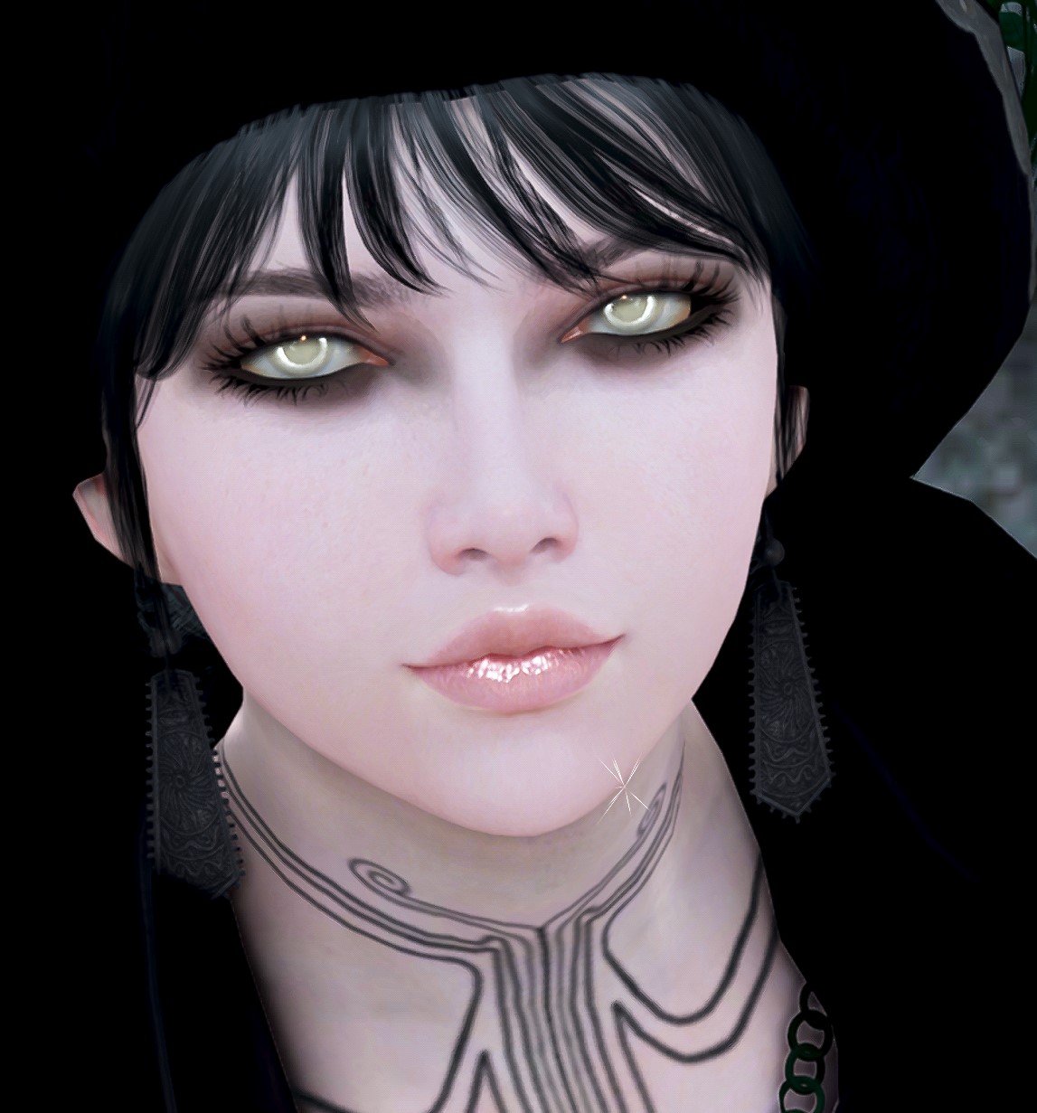 Customization Album Wenus Black Desert NA EU customization-album-wenus-black-desert-na-eu