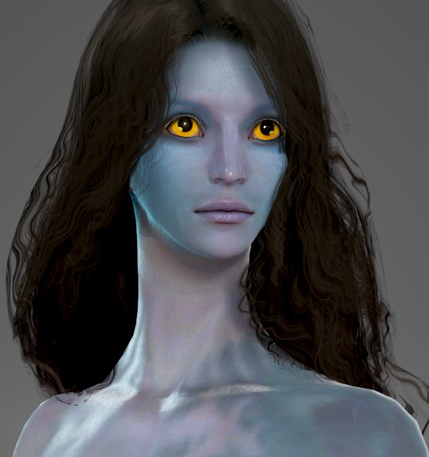 [Customization Album] Navi | Black Desert NA/EU
