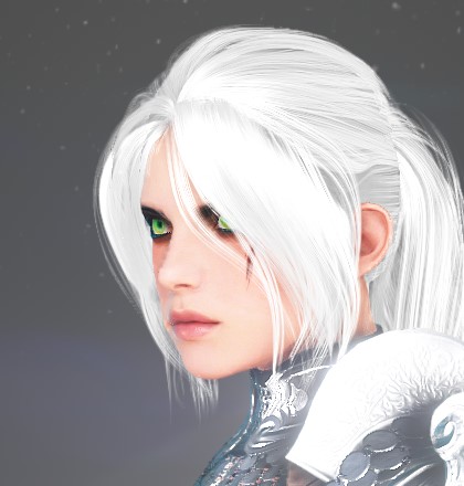 [Customization Album] Witcher Ciri | Black Desert NA/EU