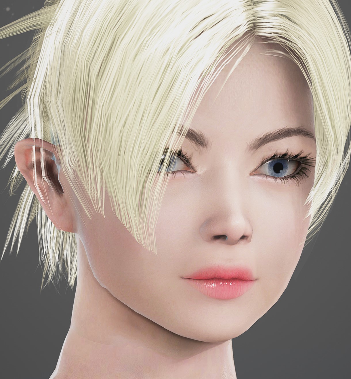 Beauty Album | Black Desert NA/EU