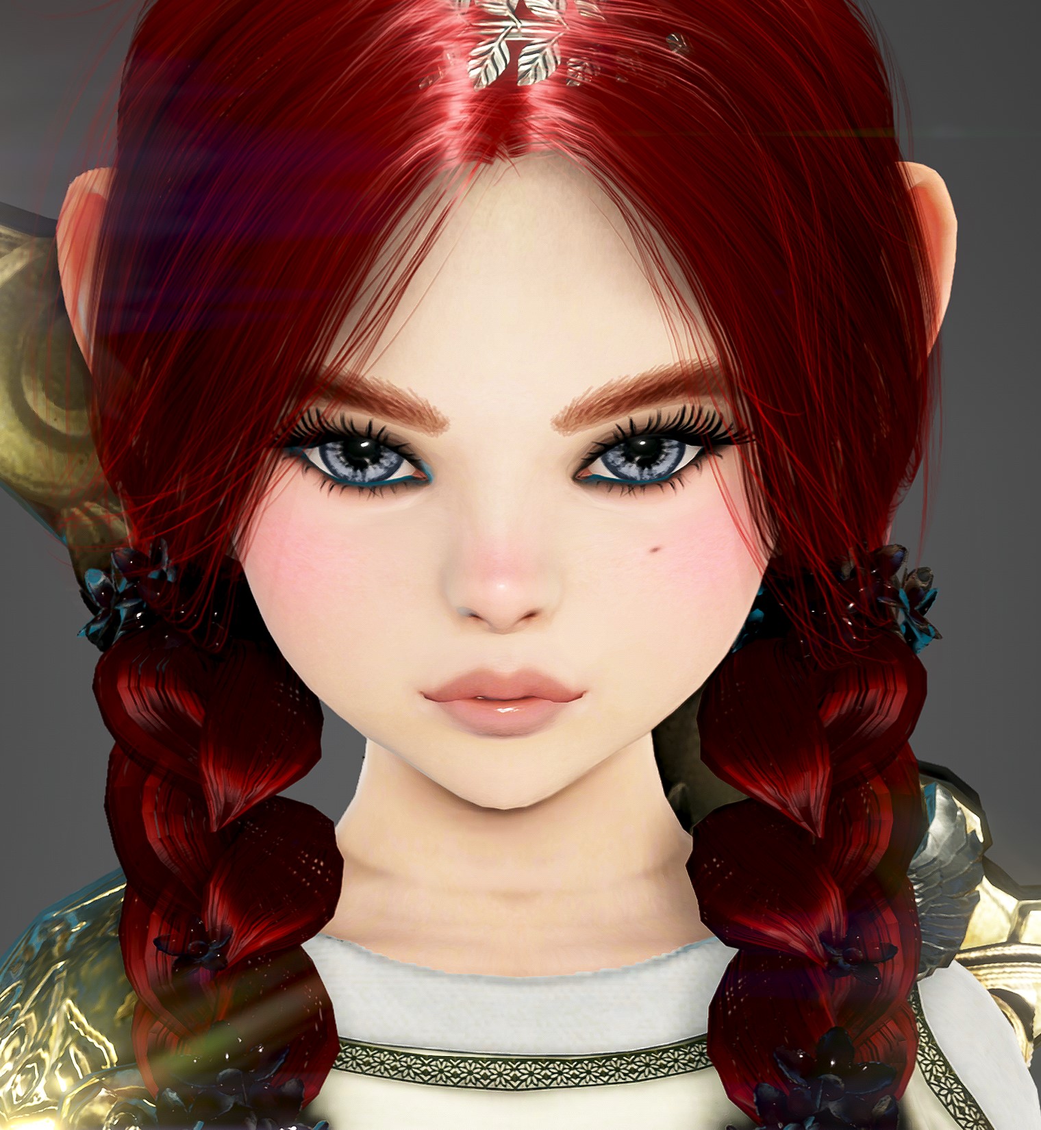Beauty Album | Black Desert NA/EU