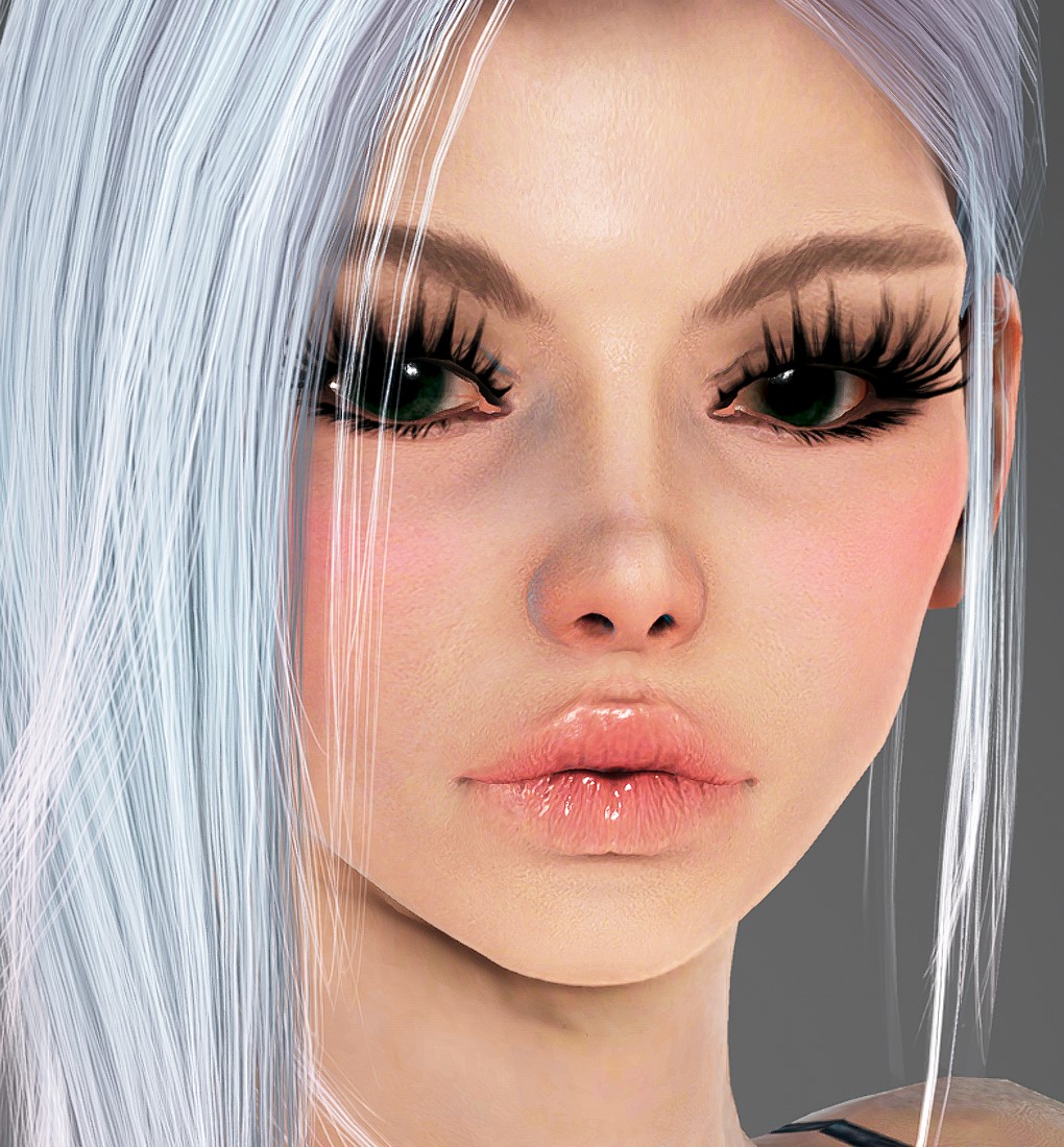 Beauty Album | Black Desert NA/EU