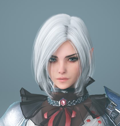 Beauty Album | Black Desert NA/EU/OC