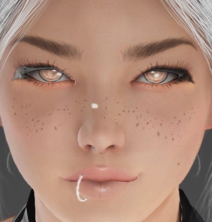 [Beauty Album] Cufu 2024 | Black Desert NA/EU