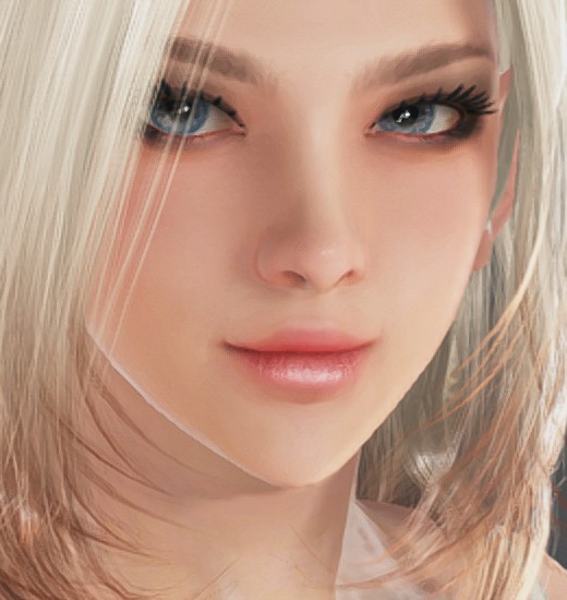 Beauty Album | Black Desert NA/EU