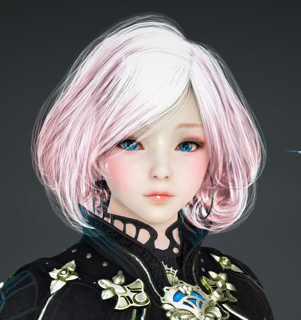 [Customization Album] wicher | Black Desert NA/EU