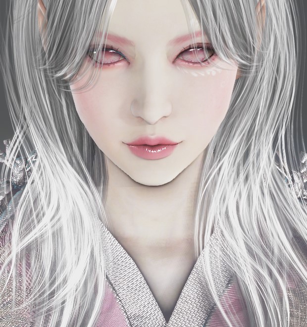 [Customization Album] Haile | Black Desert NA/EU