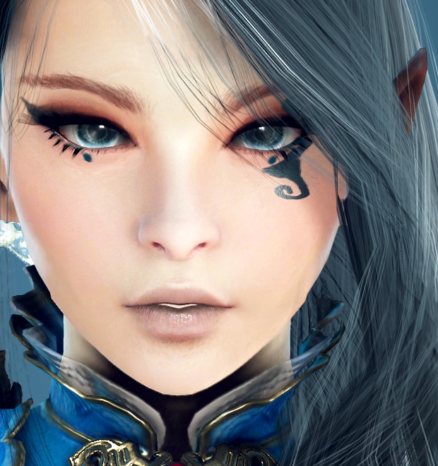 [Customization Album] Frostbite | Black Desert NA/EU