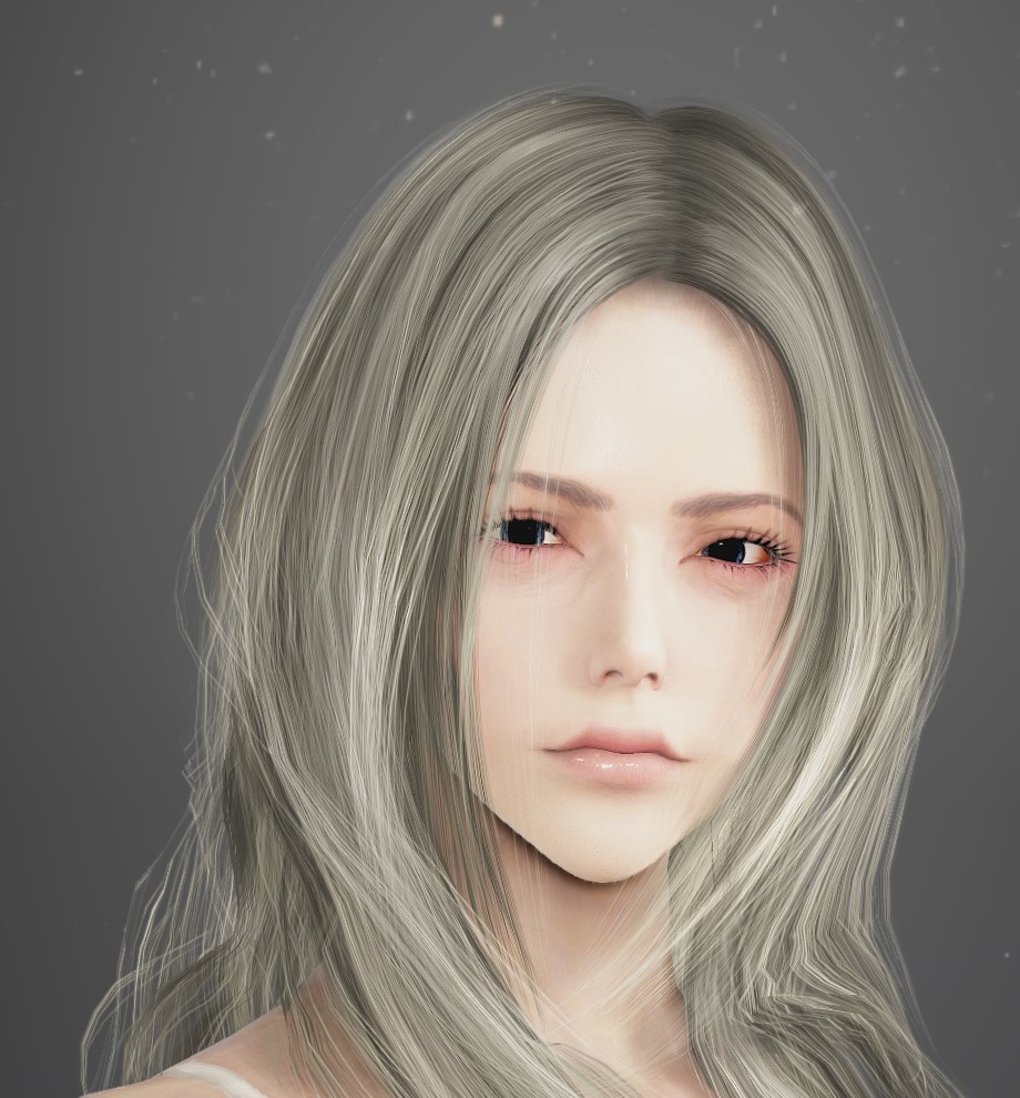 [Customization Album] W7 | Black Desert NA/EU