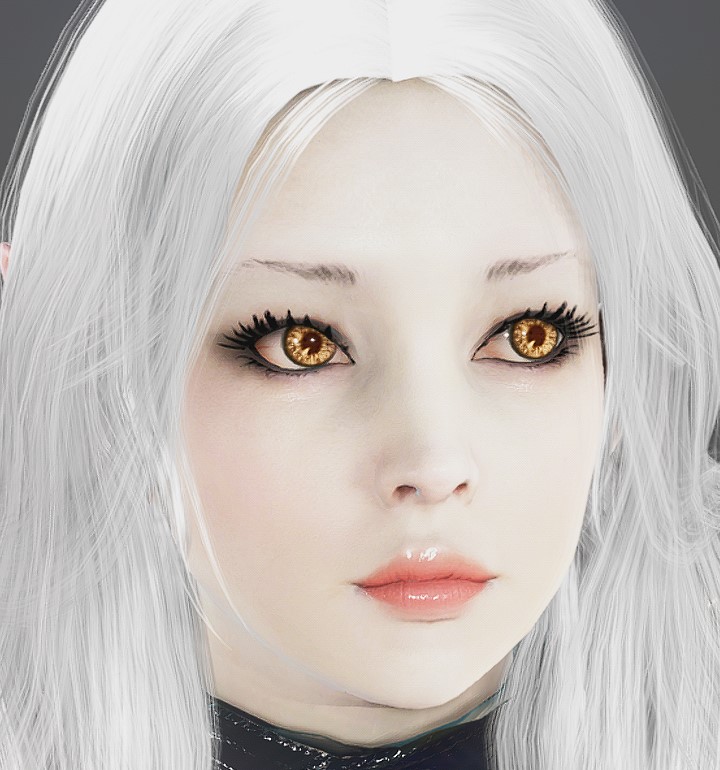 Porträt-Album | Black Desert NA/EU