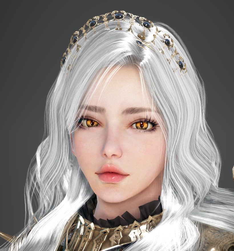 [Customization Album] Nova | Black Desert NA/EU