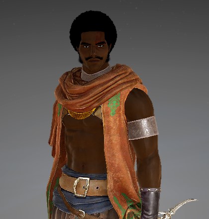 Customization Album | Black Desert NA/EU