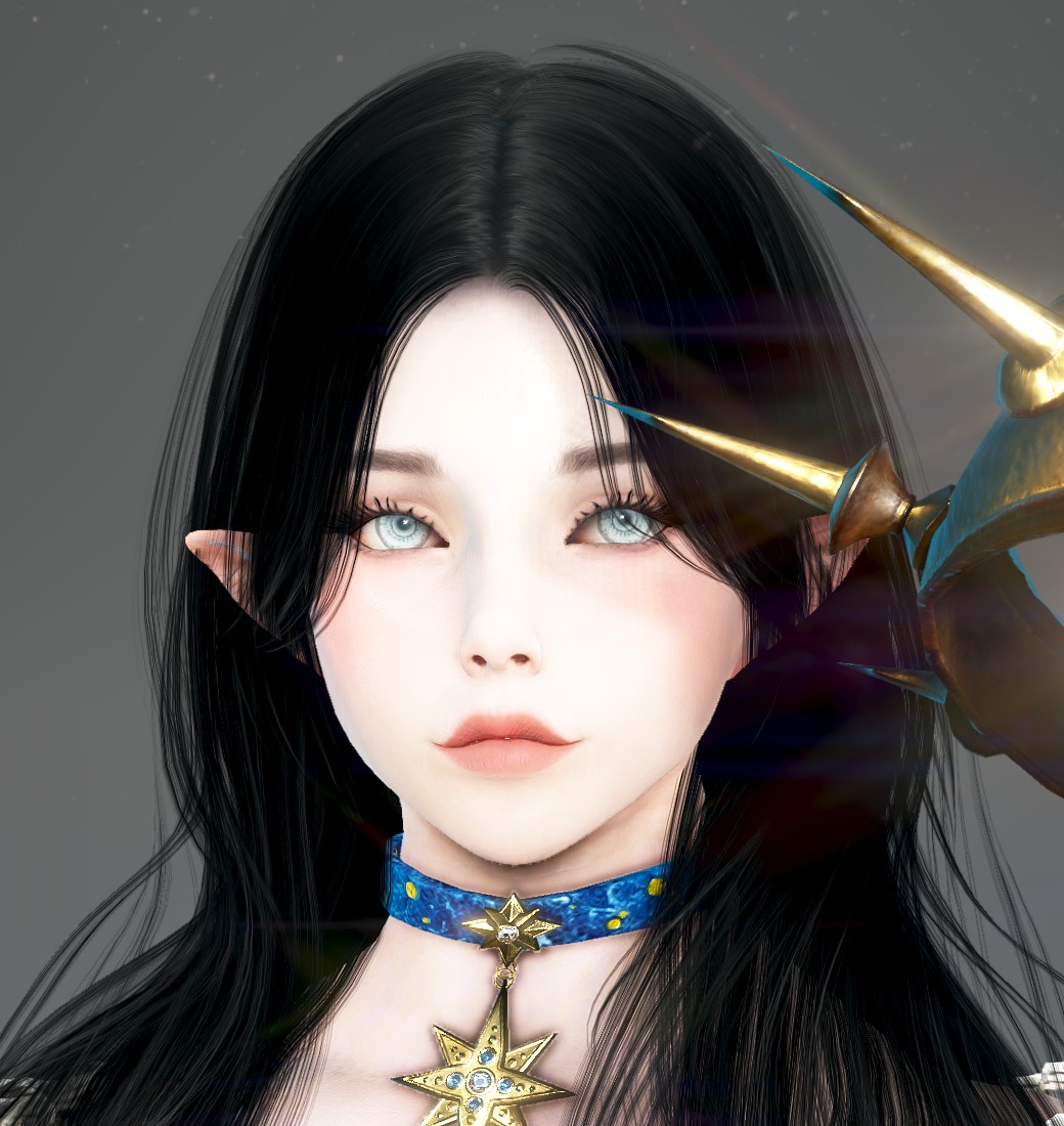 Customization Album | Black Desert NA/EU