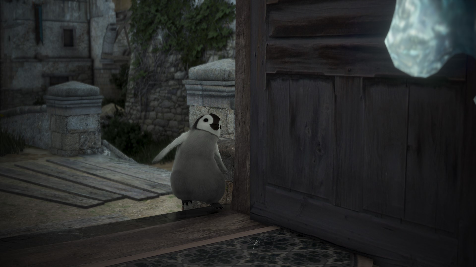 [Photo Gallery] Little Interloper | Black Desert NA/EU