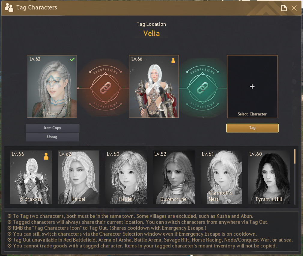 [Feedback] Additional Tagged Character Slot | Black Desert NA/EU