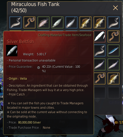 [Life Skill] Silver Beltfish - Velia Beach | Black Desert NA/EU