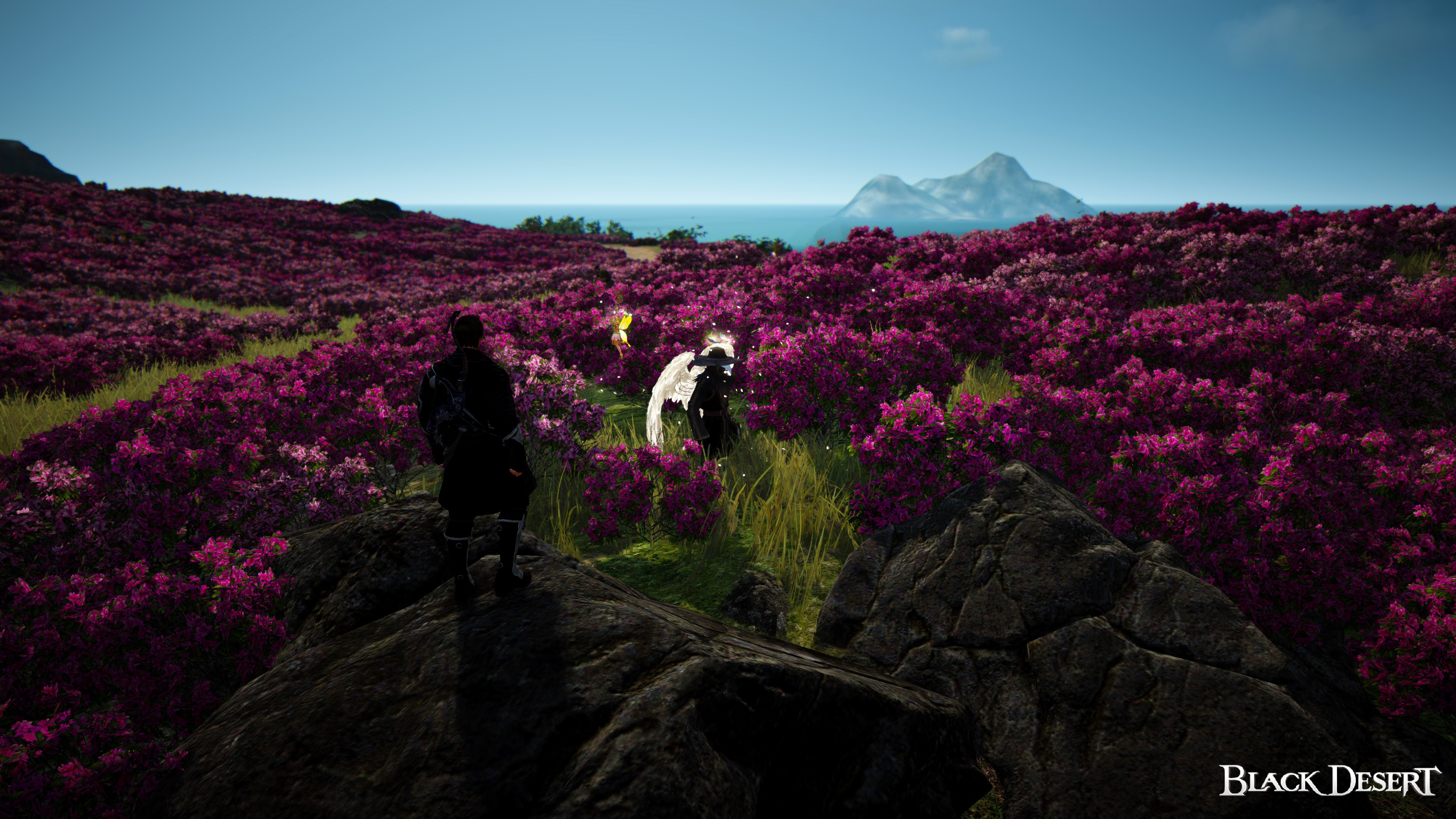 [Event] [EU][FindtheGM] Byeot County Pink Rosebay Field | Black Desert ...