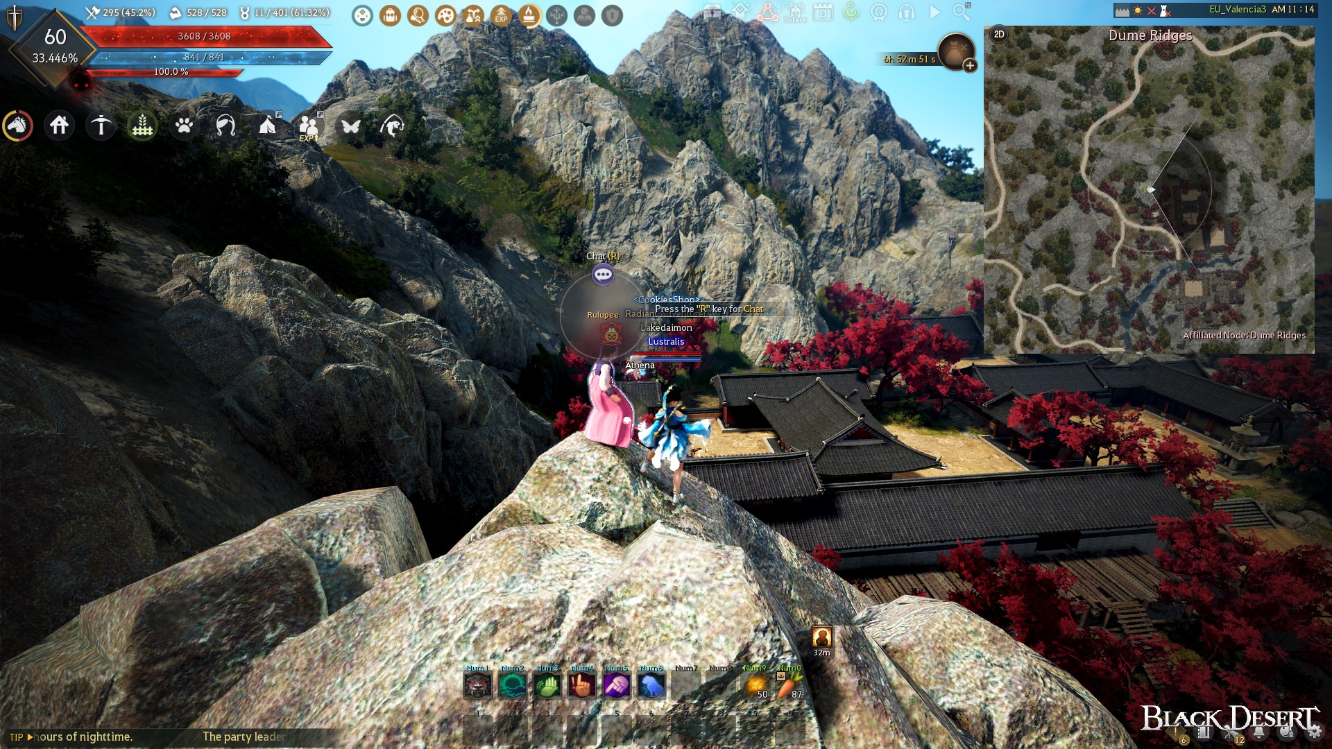 [Game Play] [GUIDE] Rulupee's Travels in Seoul | Black Desert NA/EU