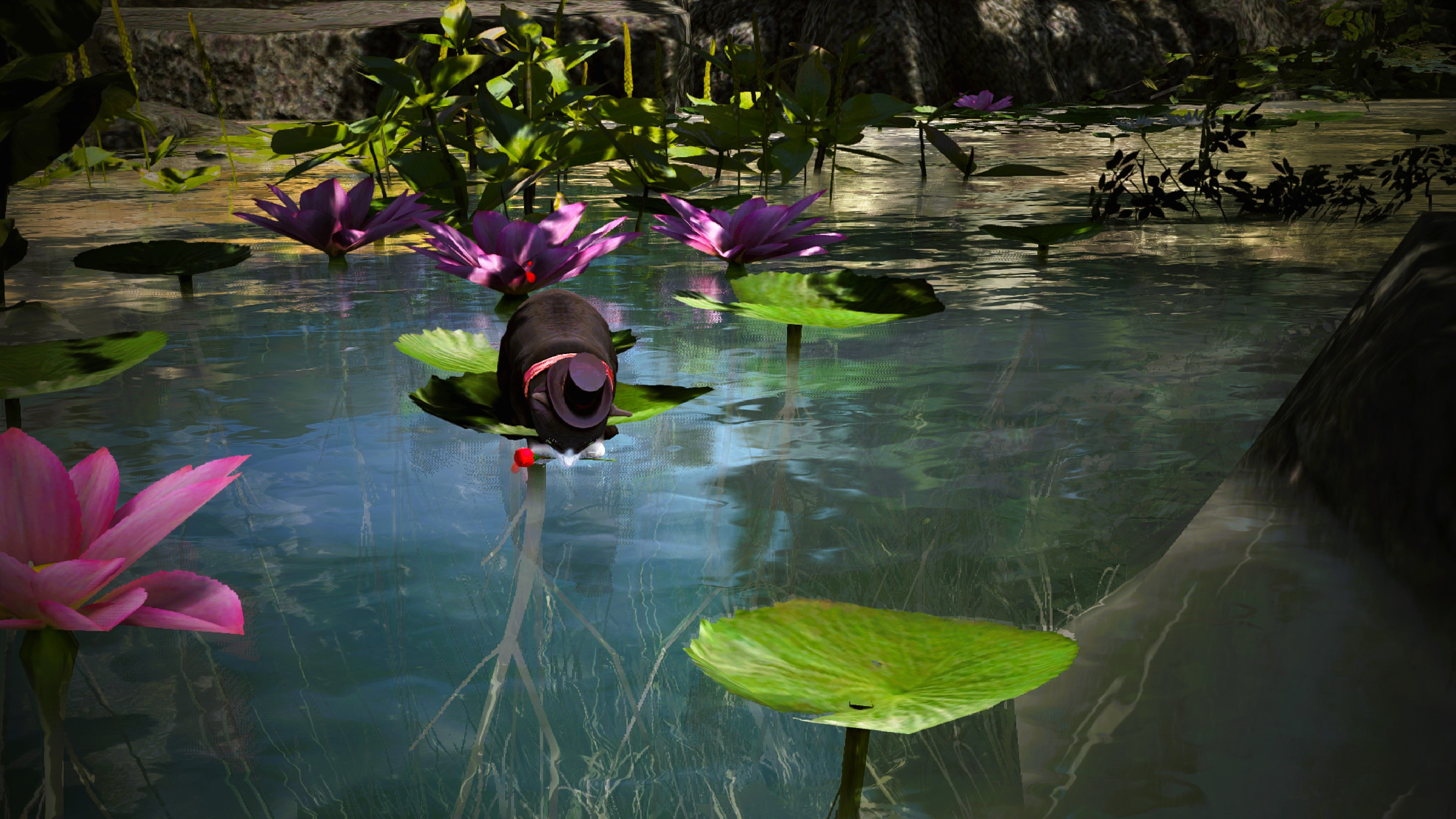 [Event] [BDO Calendar - Summer ][EU] Various Mix | Black Desert NA/EU