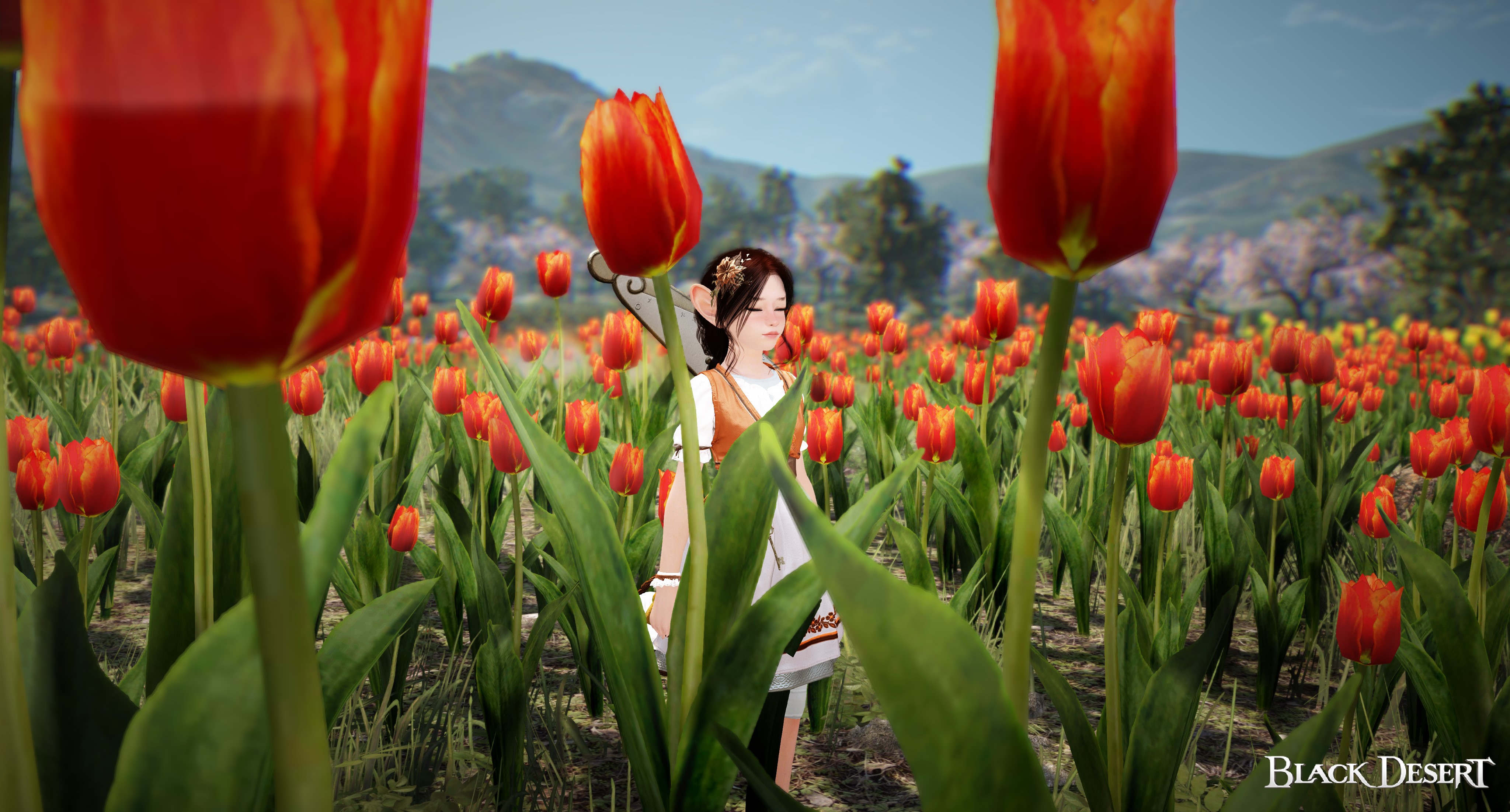 [Event] [BDO Calendar - Spring][EU]Magical Azalea Night | Black Desert ...