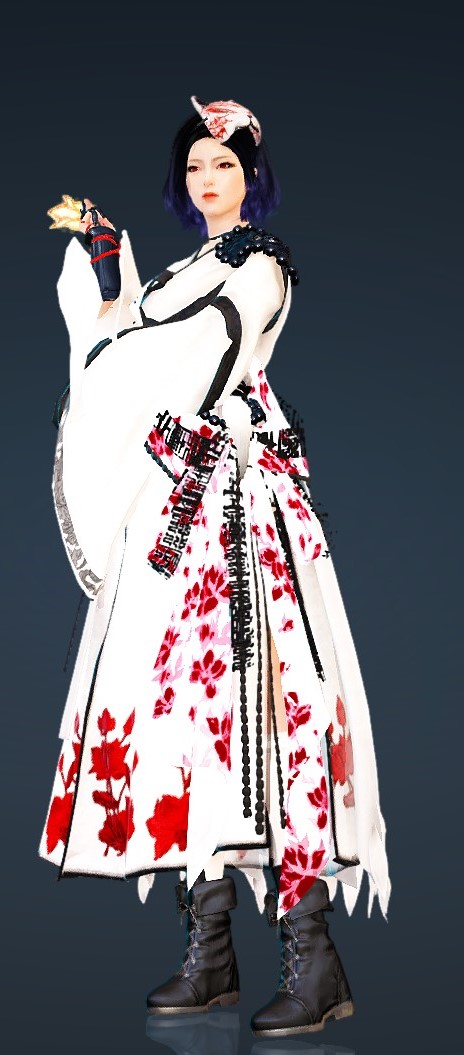 [Feedback] Flat shoes options for female classes | Black Desert NA/EU