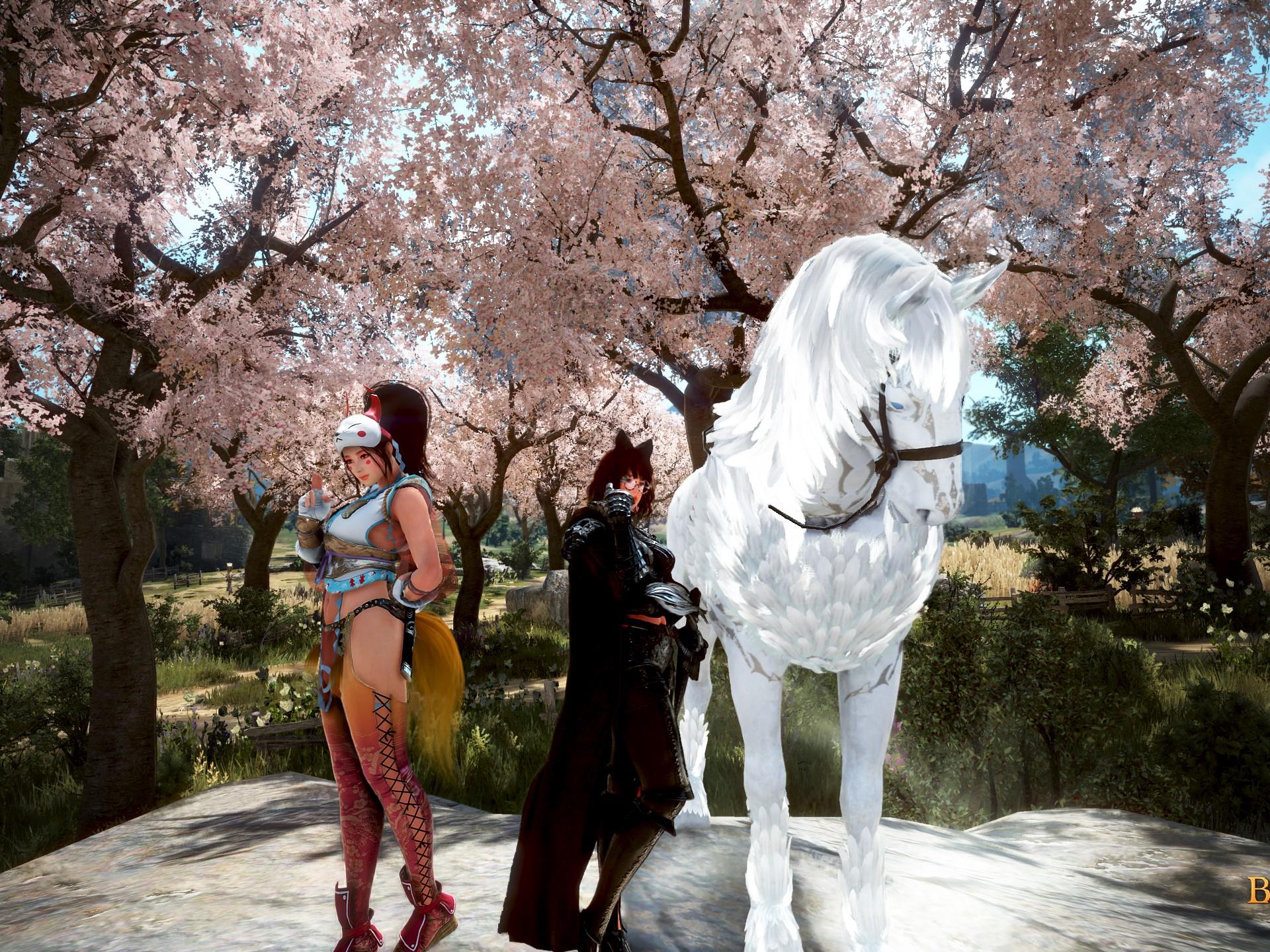 [Event] [Cherry Blossoms][NA] The Sweet Sakura Breeze | Black Desert NA/EU
