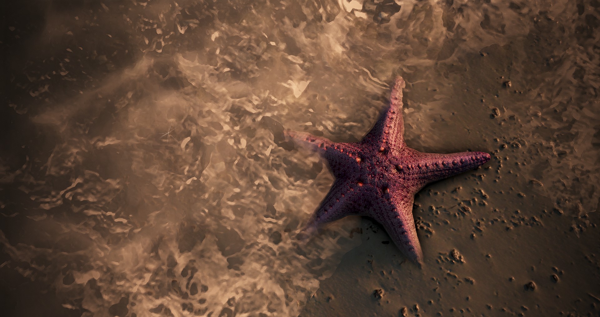 [Event] [BDO Calendar - Summer][EU] Long and Warm Days | Black Desert NA/EU