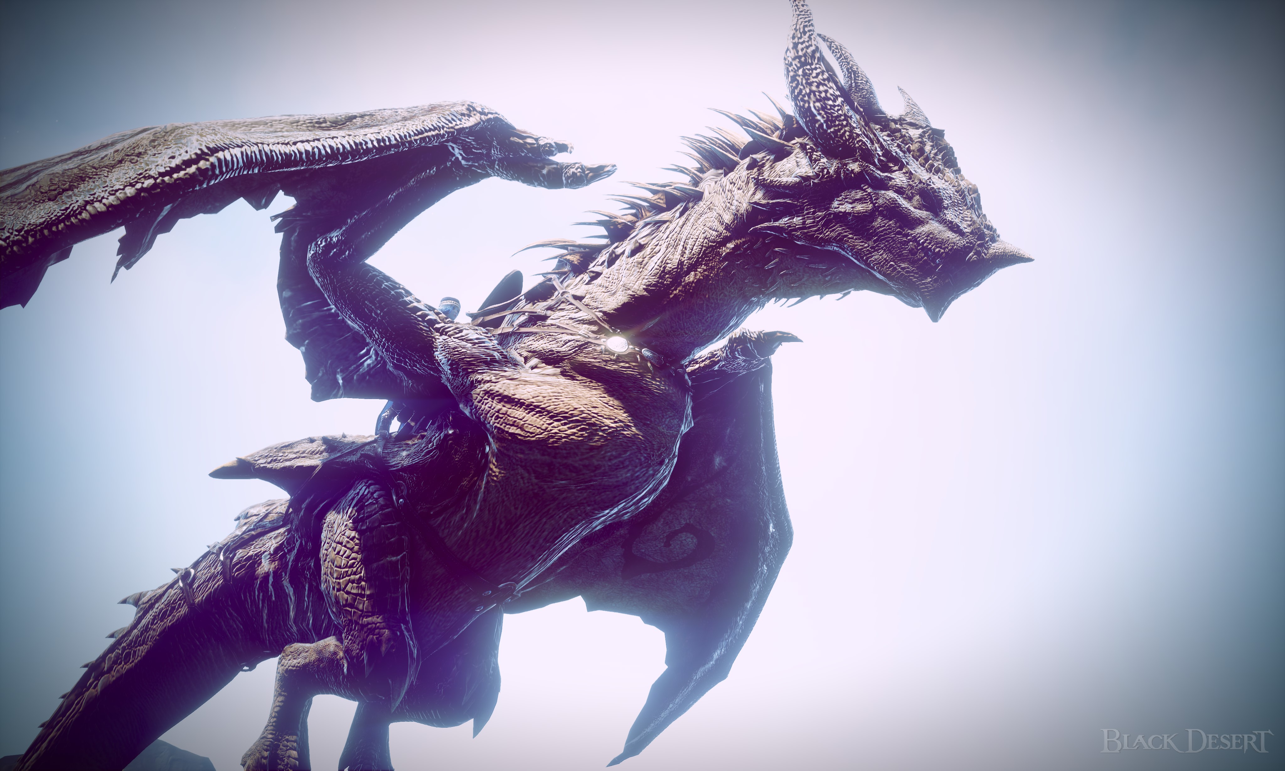 [Fan Art] Wings of Terror 🐲 | Black Desert NA/EU