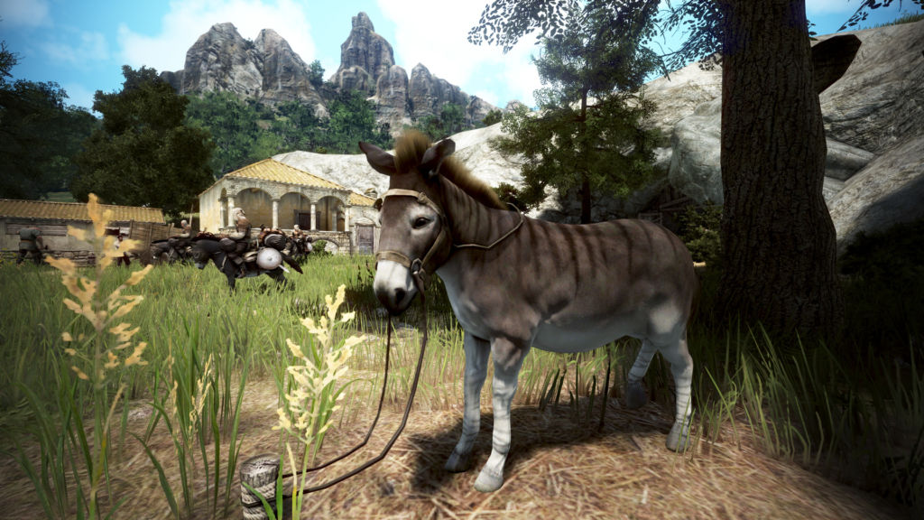 [Bug Reports] Shai Donkey Textures | Black Desert NA/EU