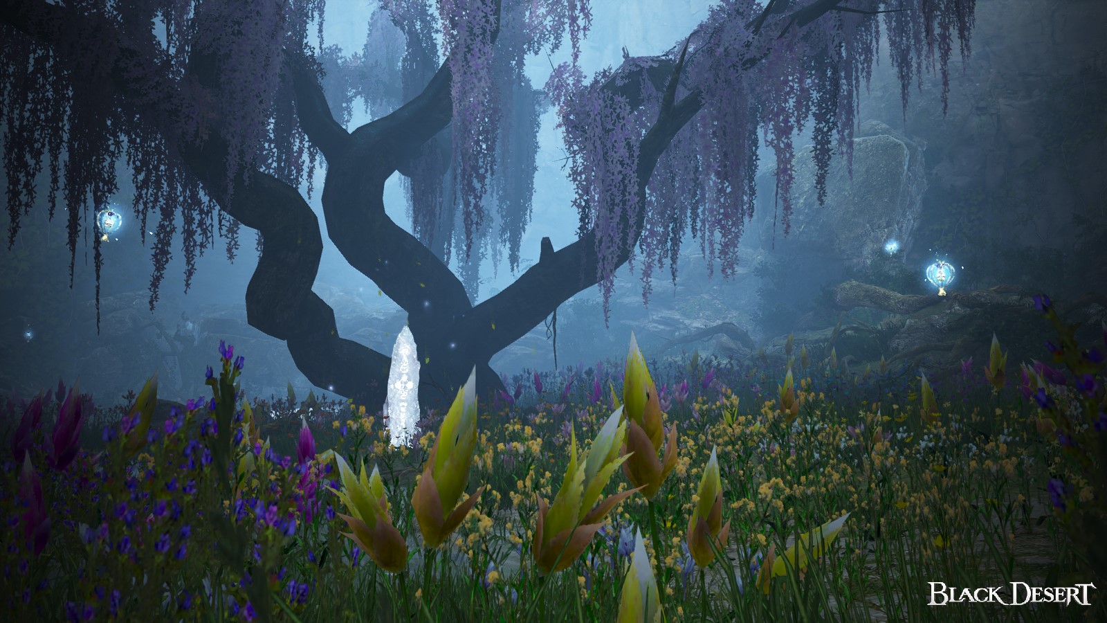 [Event] [BDO Calendar - Spring][NA] Memories within a flower | Black ...