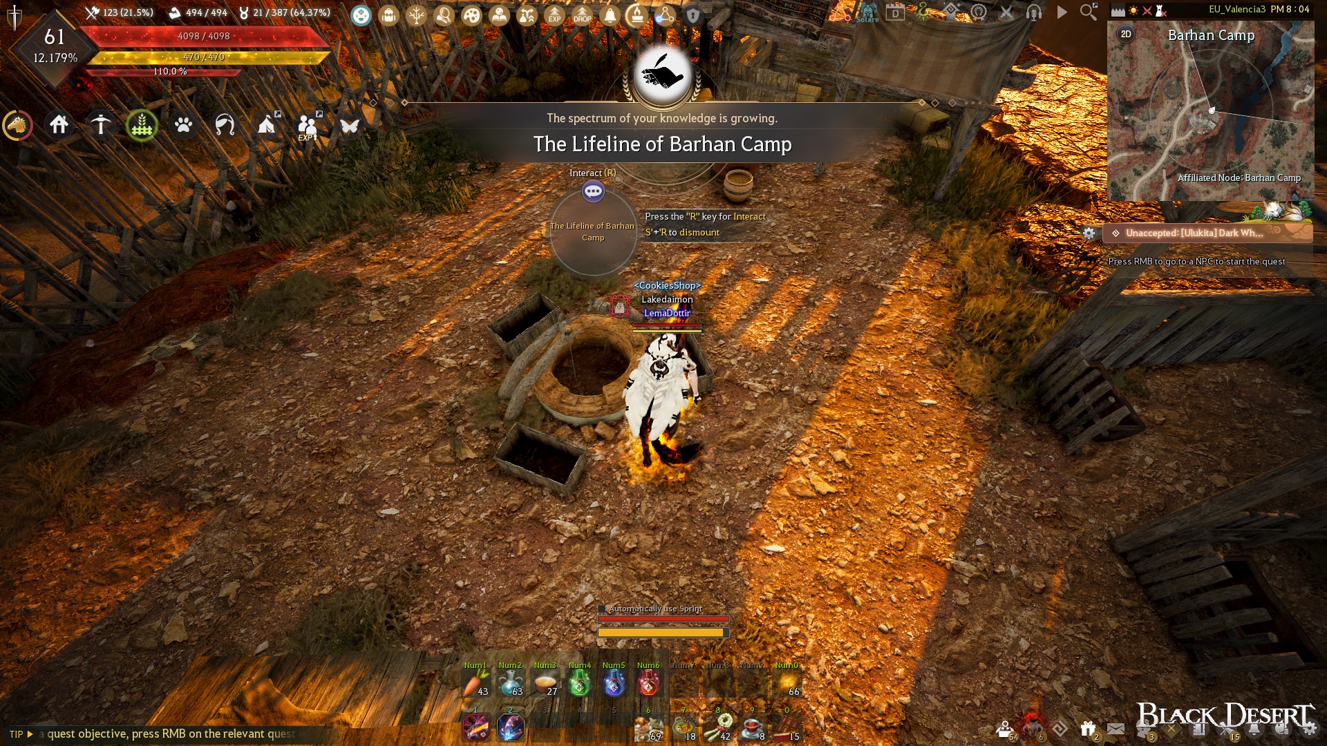 [Game Play] [GUIDE] Ulukita Wilds Adventure Log III | Black Desert NA/EU