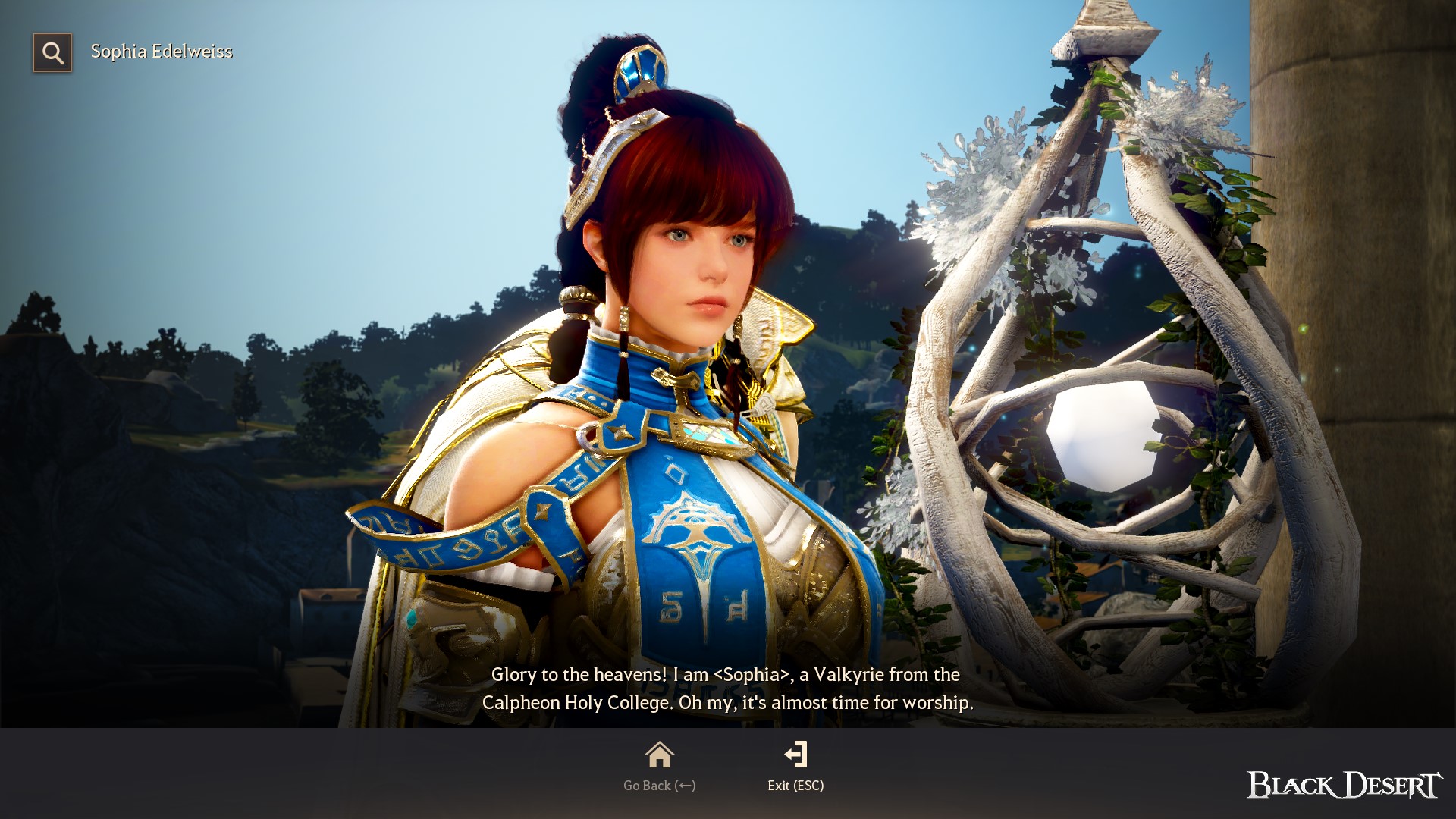 [Game Play] [LORE] What's your class name in the lore? | Black Desert NA/EU