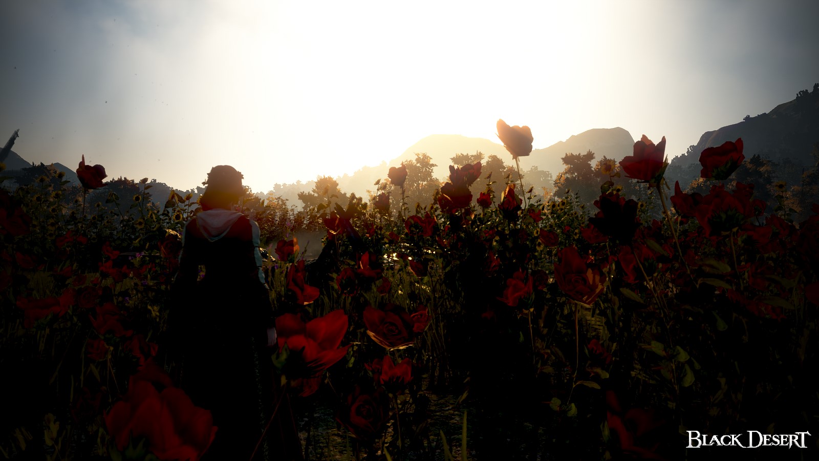 [Event] [BDO Calendar - Spring][NA] Memories within a flower | Black ...
