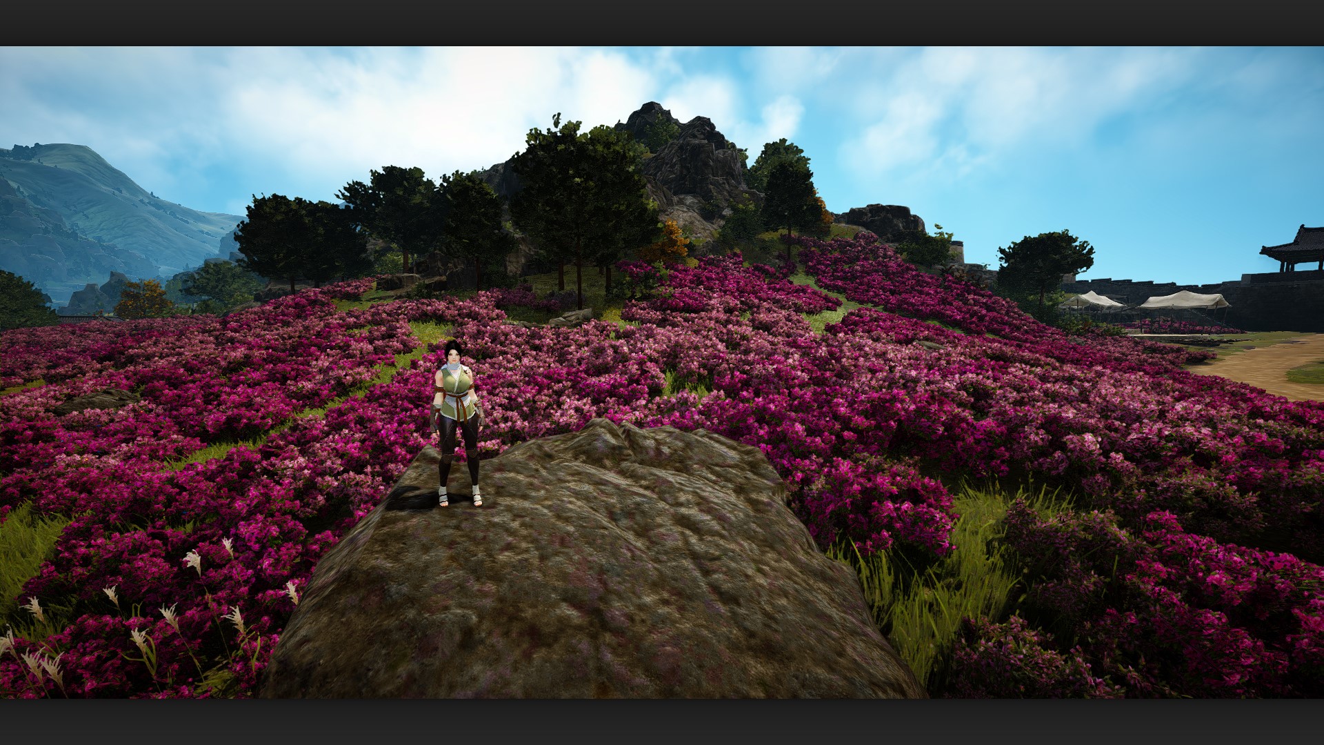 [Event] [NA][FindtheGM] Byeot Flower Field | Black Desert NA/EU