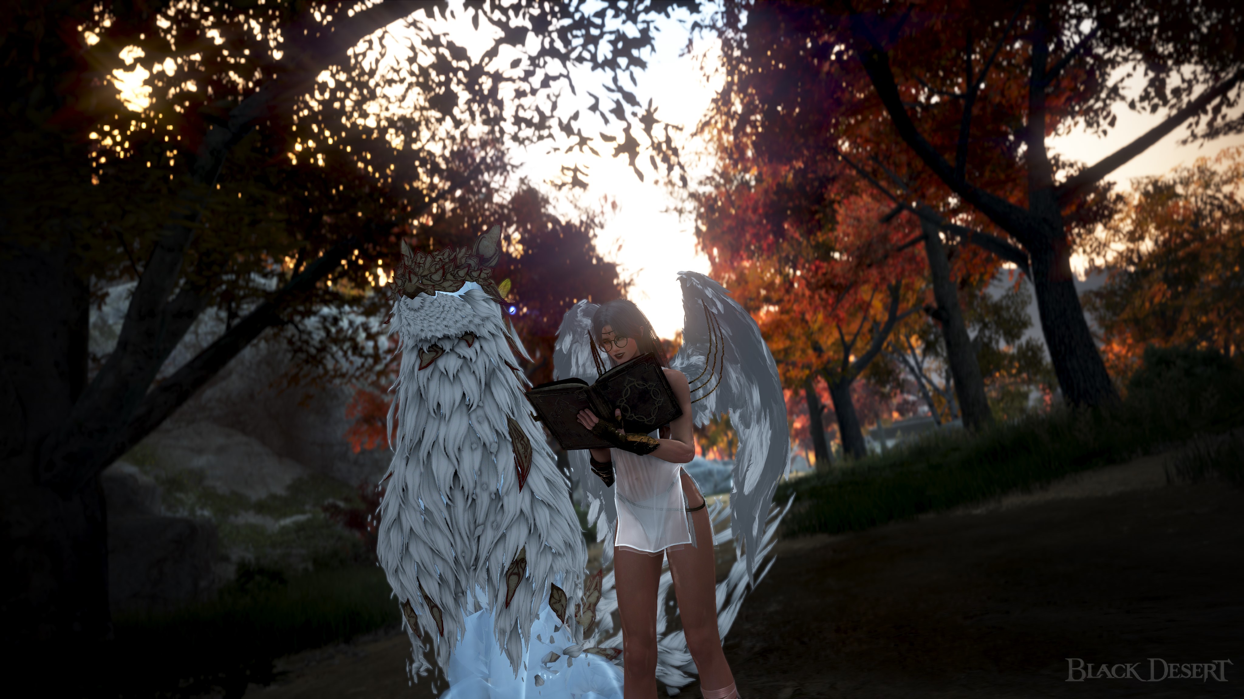 [Event] [BDO Calendar - Autumn][EU] Colorfull palette of Autumn | Black ...