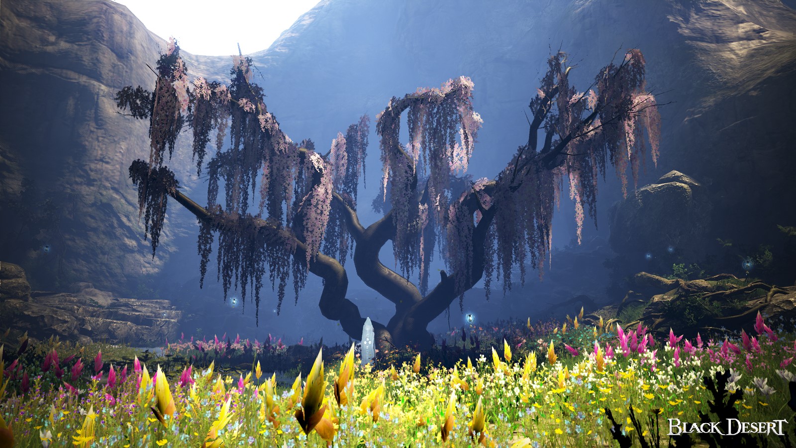 [Event] [BDO Calendar - Spring][NA] Memories within a flower | Black Desert NA/EU