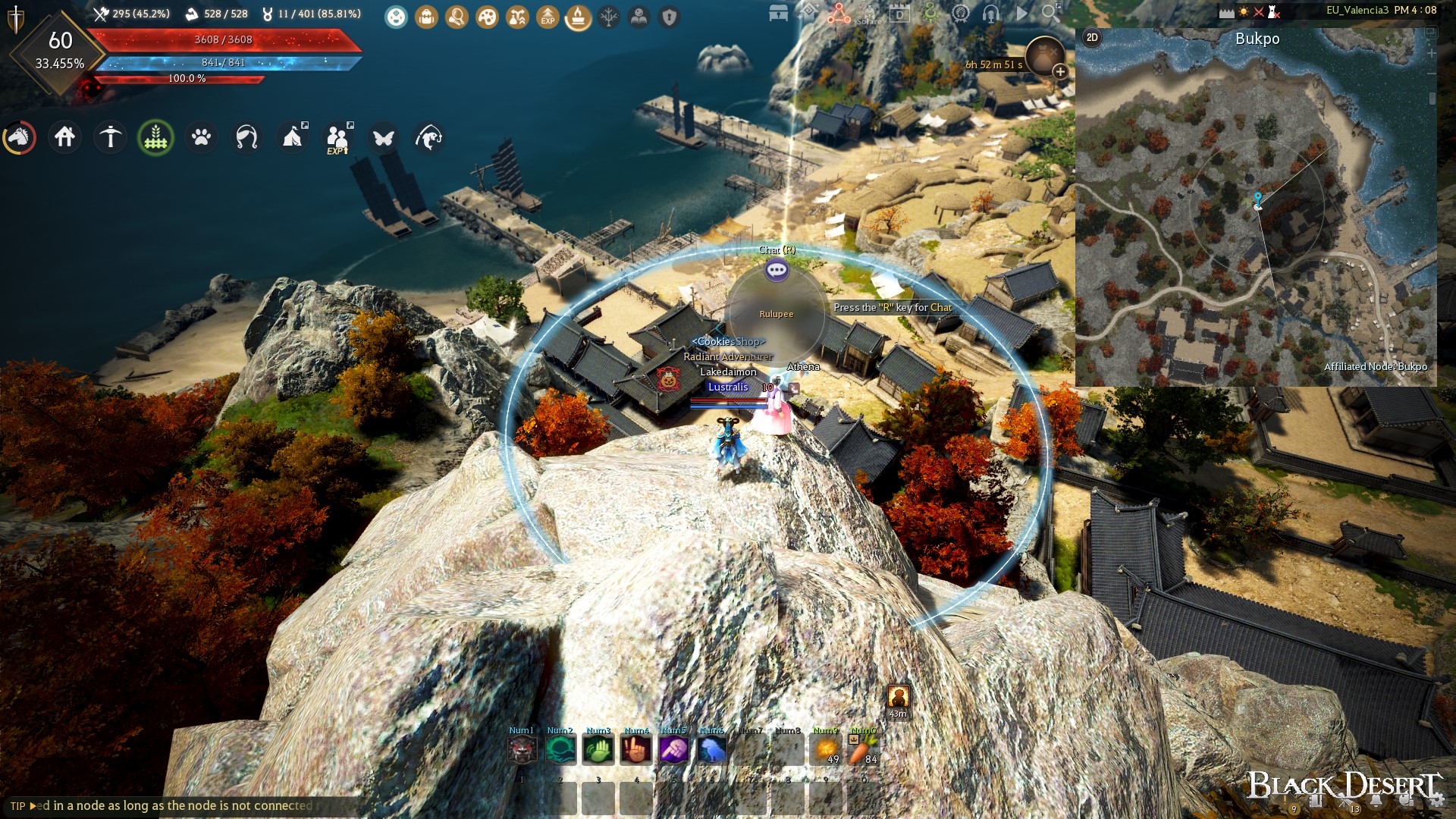 [Game Play] [GUIDE] Rulupee's Travels in Seoul | Black Desert NA/EU