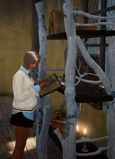 [Event] [School Days] Finding the non existing Debo... | Black Desert NA/EU