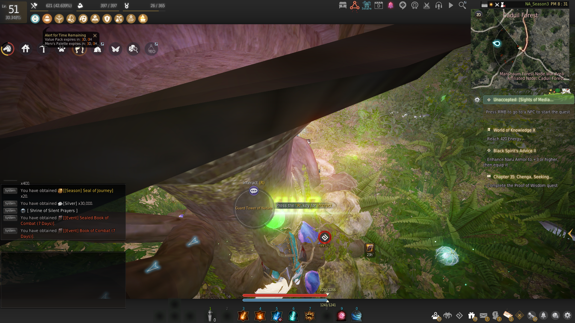 [Bug Reports] Remove this sh*t | Black Desert NA/EU