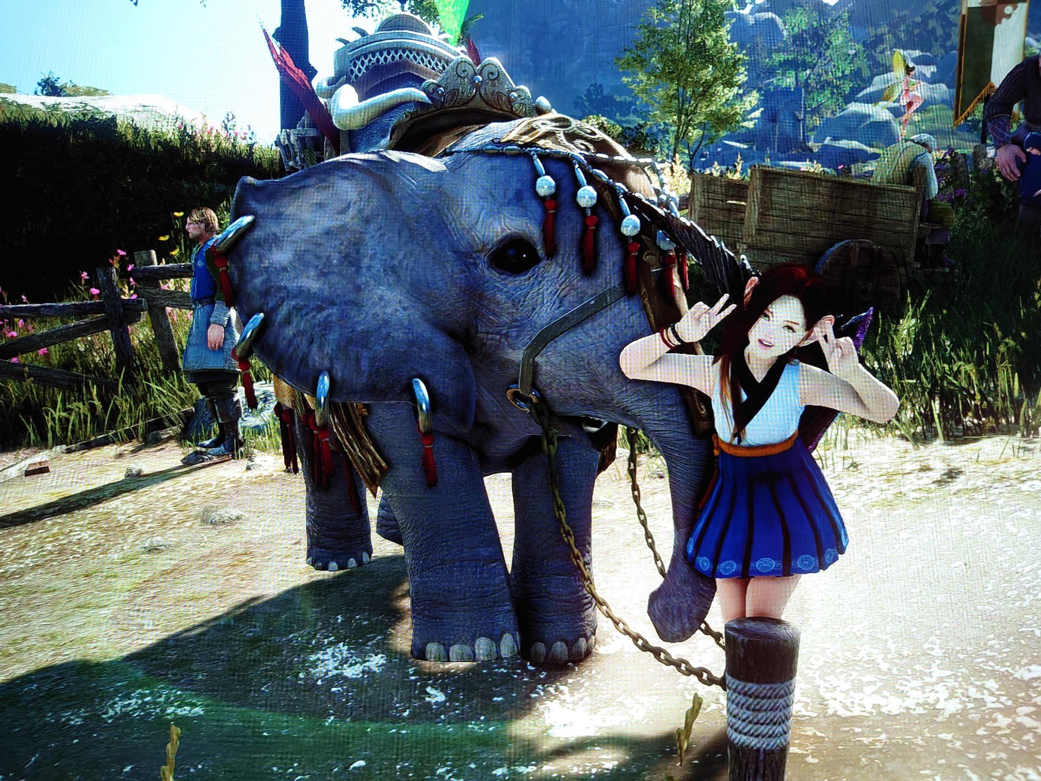 [Feedback] Forgotten mounts and the riding crop. | Black Desert NA/EU