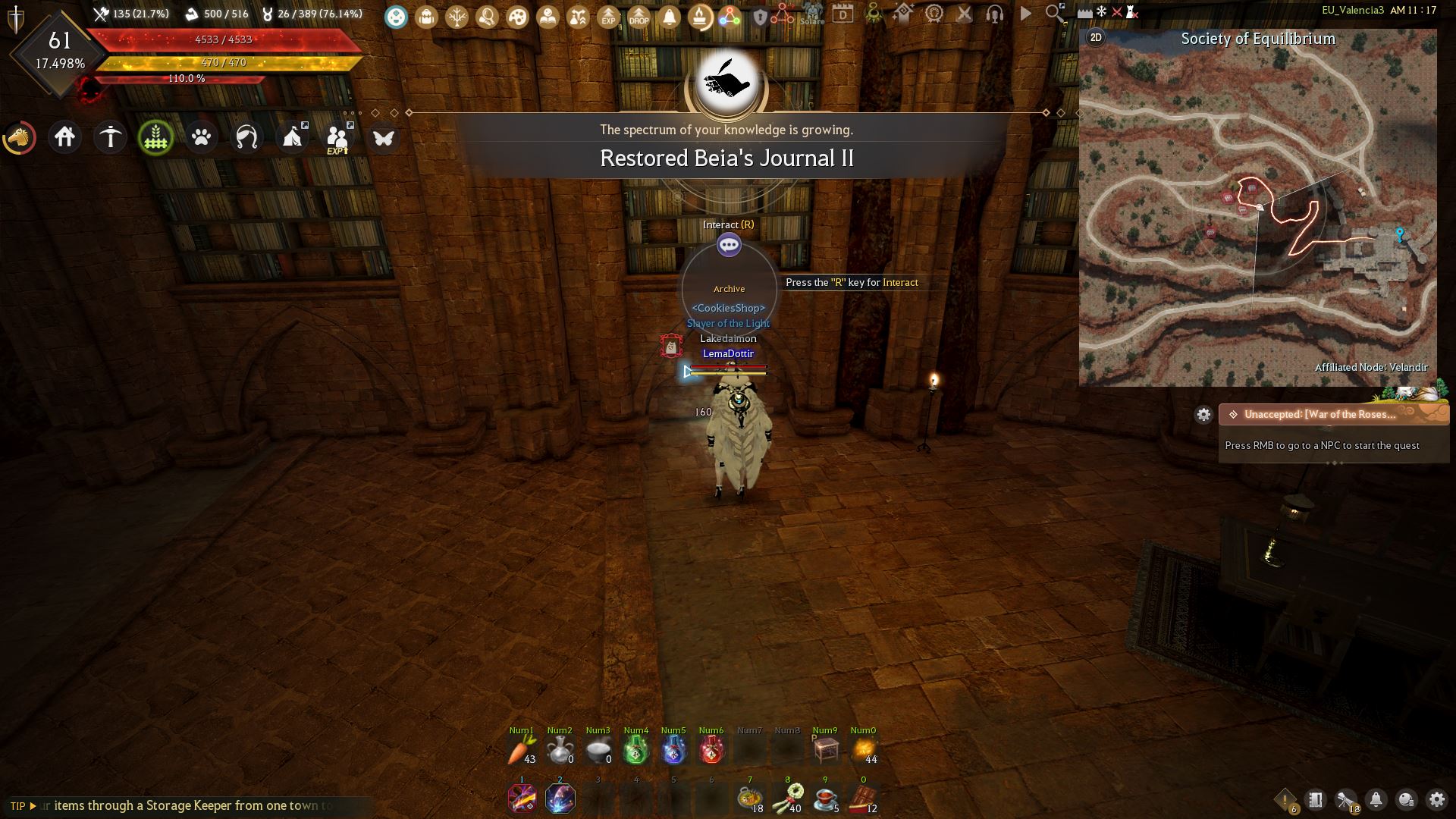 [Game Play] [GUIDE] Ulukita Adventure Log: Society of Equilibrium | Black Desert NA/EU