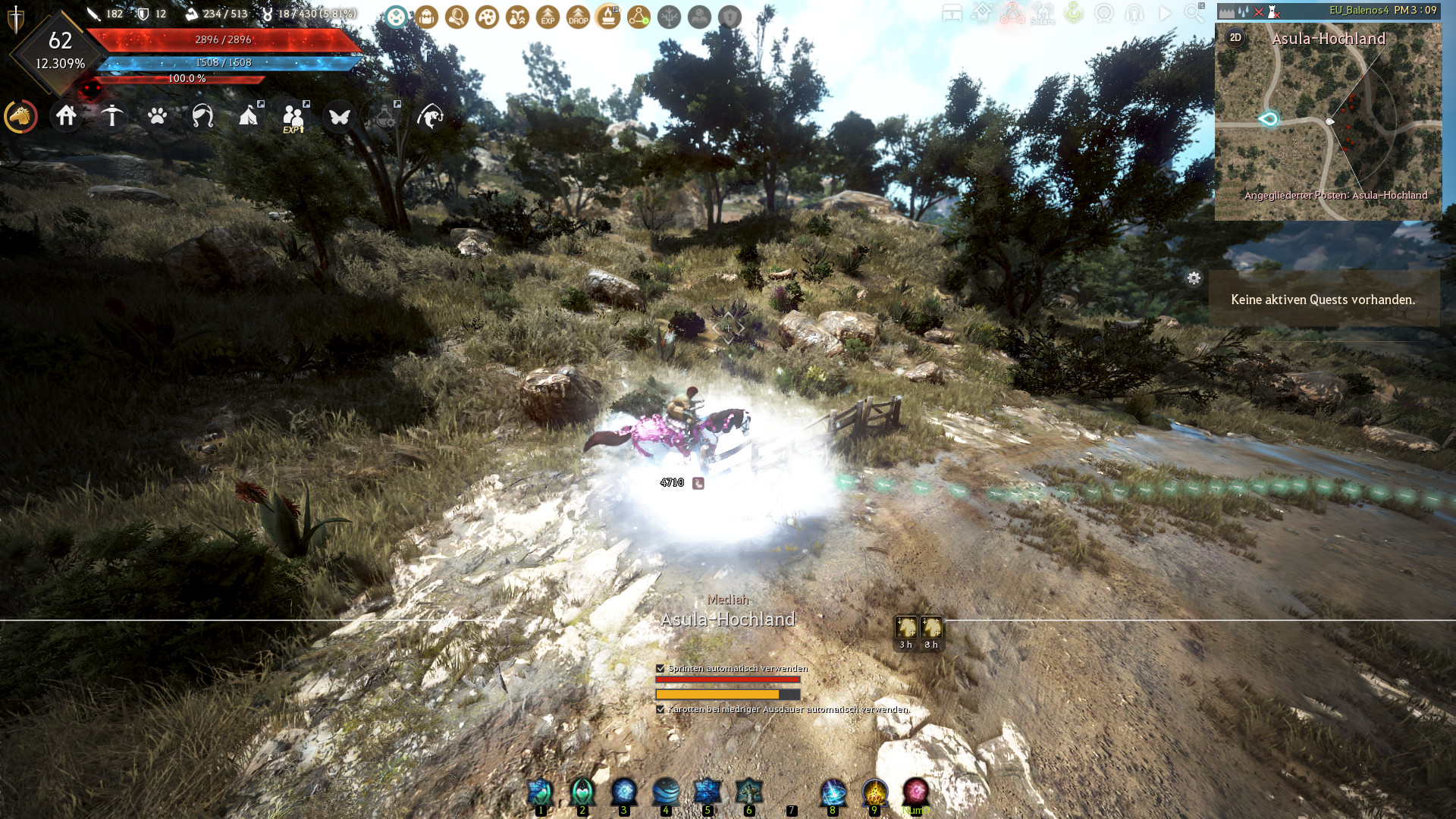 [Allgemeines Gameplay] Automatisches Reiten | Black Desert NA/EU
