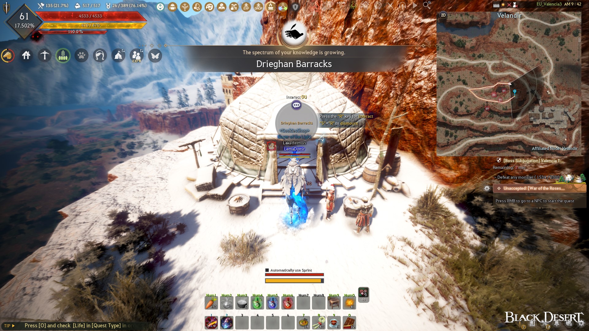 [Game Play] [GUIDE] Southern Ulukita Adventure Log I | Black Desert NA/EU