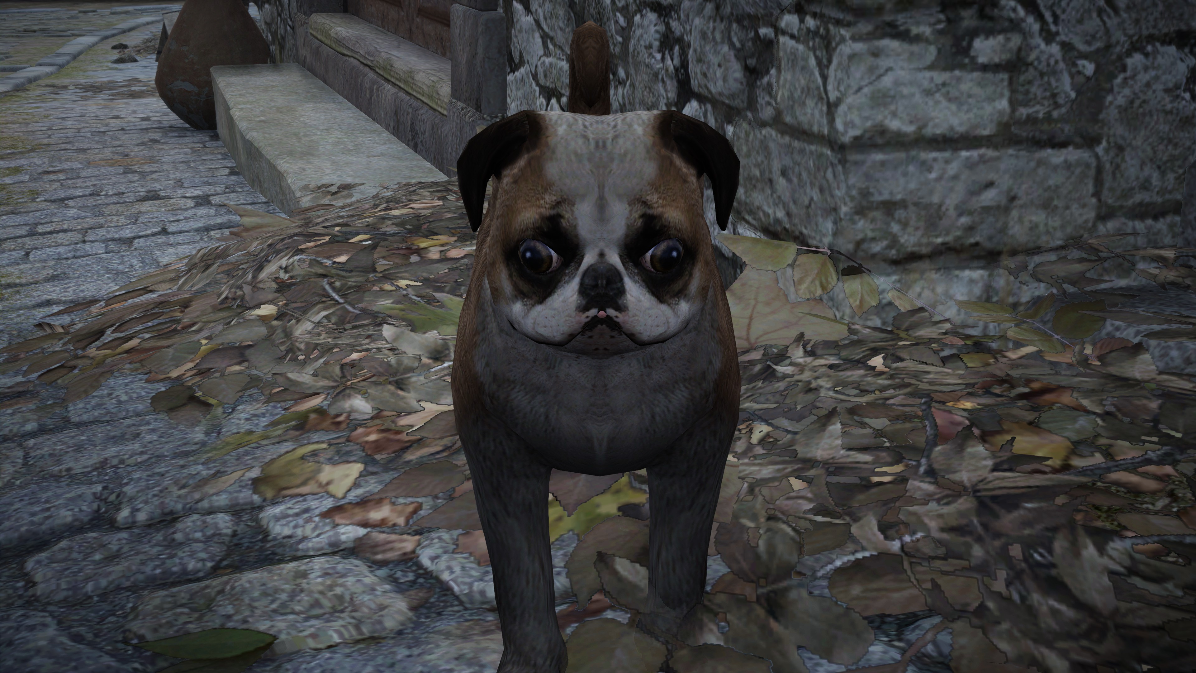 [Event] [EU][3000 Days] My oldest screenshots | Black Desert NA/EU