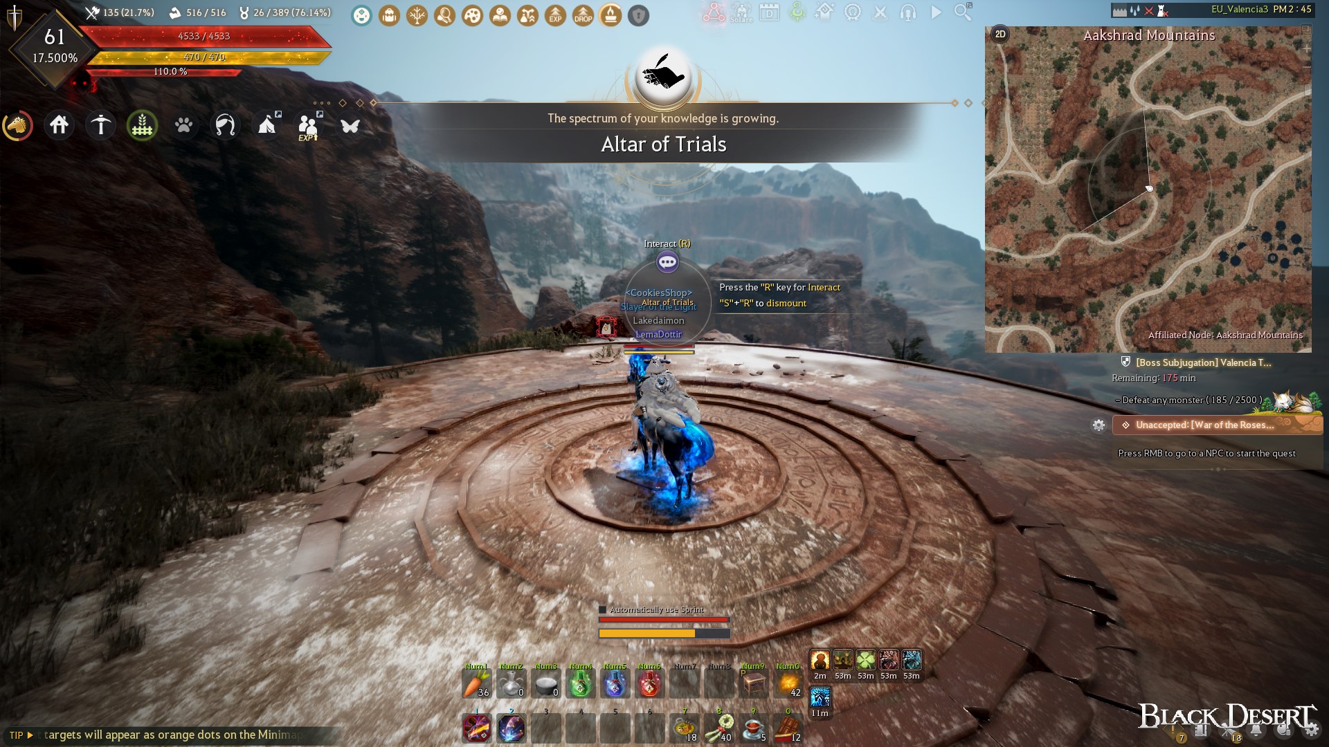 [Game Play] [GUIDE] Southern Ulukita Adventure Log I | Black Desert NA/EU